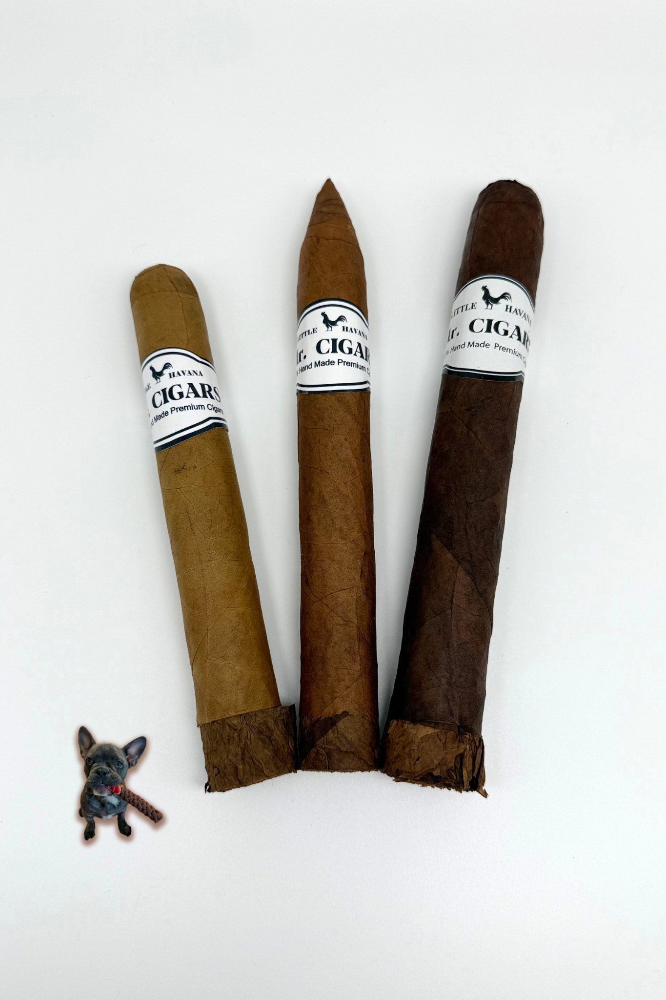 Shaggy Collection – Mr. Cigars