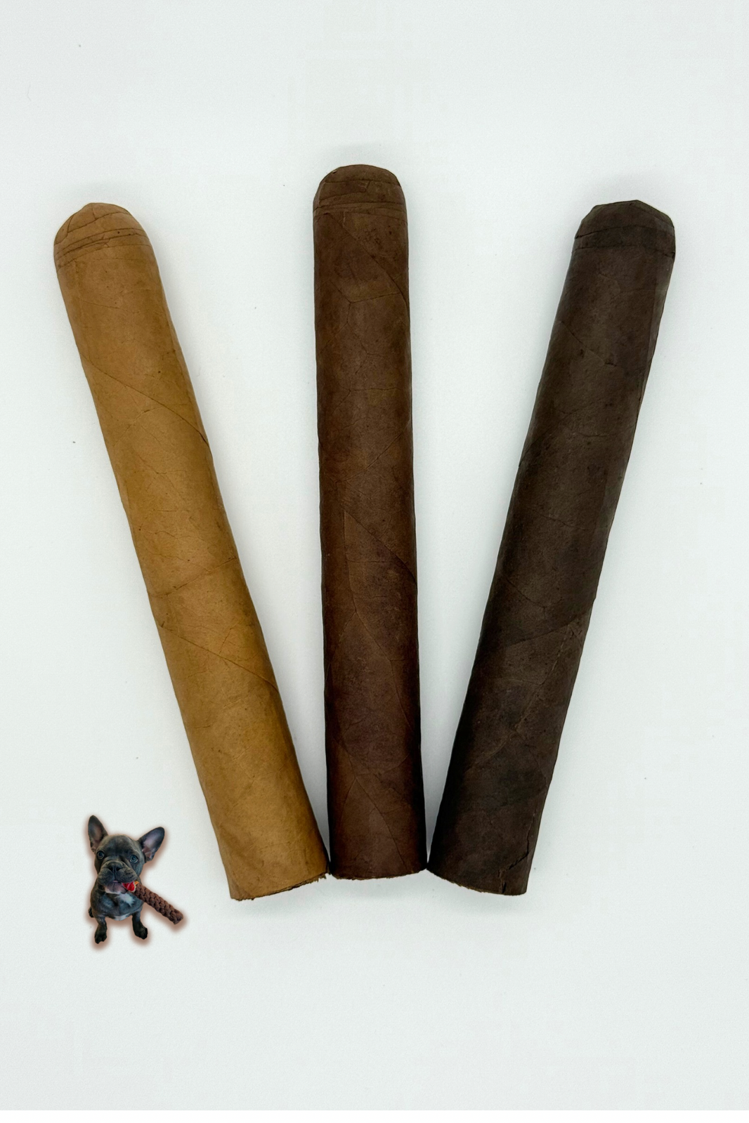 Molasses Collection – Mr. Cigars
